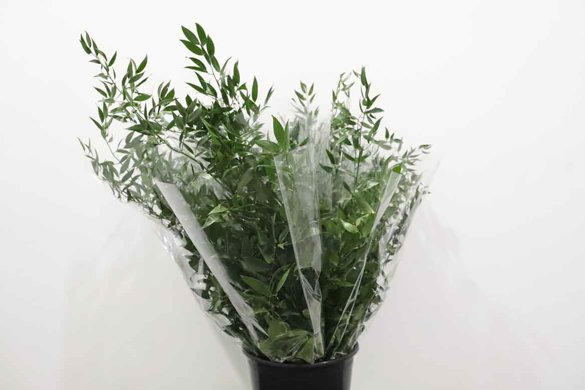 Pre-Packs | Wholesale Flowers | Hoek flowers